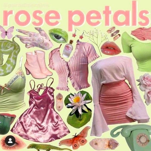 Other | Rose Petals Mystery Box | Poshmark